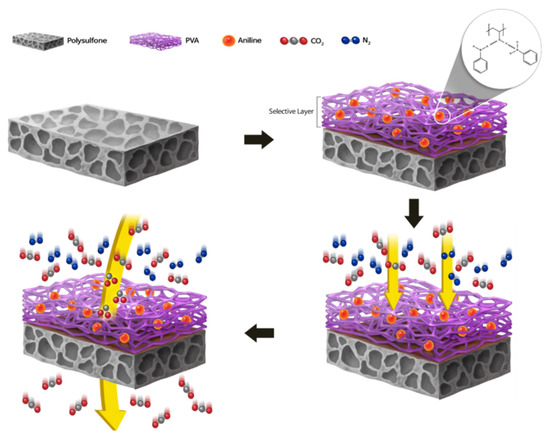 CO2 Separation with Polymer/Aniline Composite Membranes