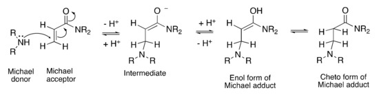 Highlight on the Mechanism of Linear Polyamidoamine Degradation in Water