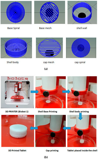 Development of a 3D Printed Coating Shell to Control the Drug Release ...