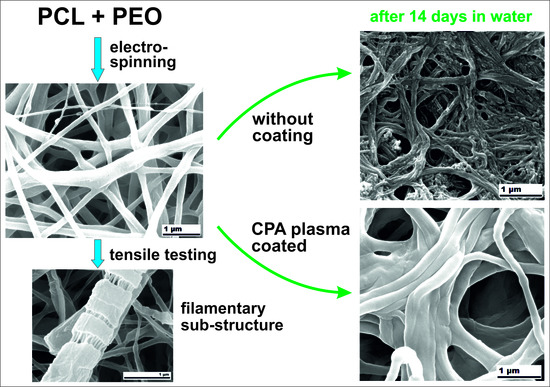 Polymers | Free Full-Text | Well-Blended PCL/PEO Electrospun Nanofibers with Functional ...