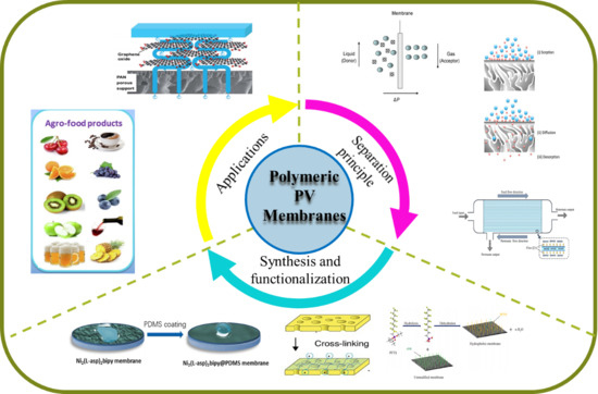 Polymers | Free Full-Text | Fabrication, Properties, Performances, and ...