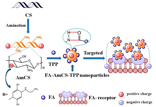 Chitosan and its Derivatives for Ocular Delivery Formulations: Recent ...