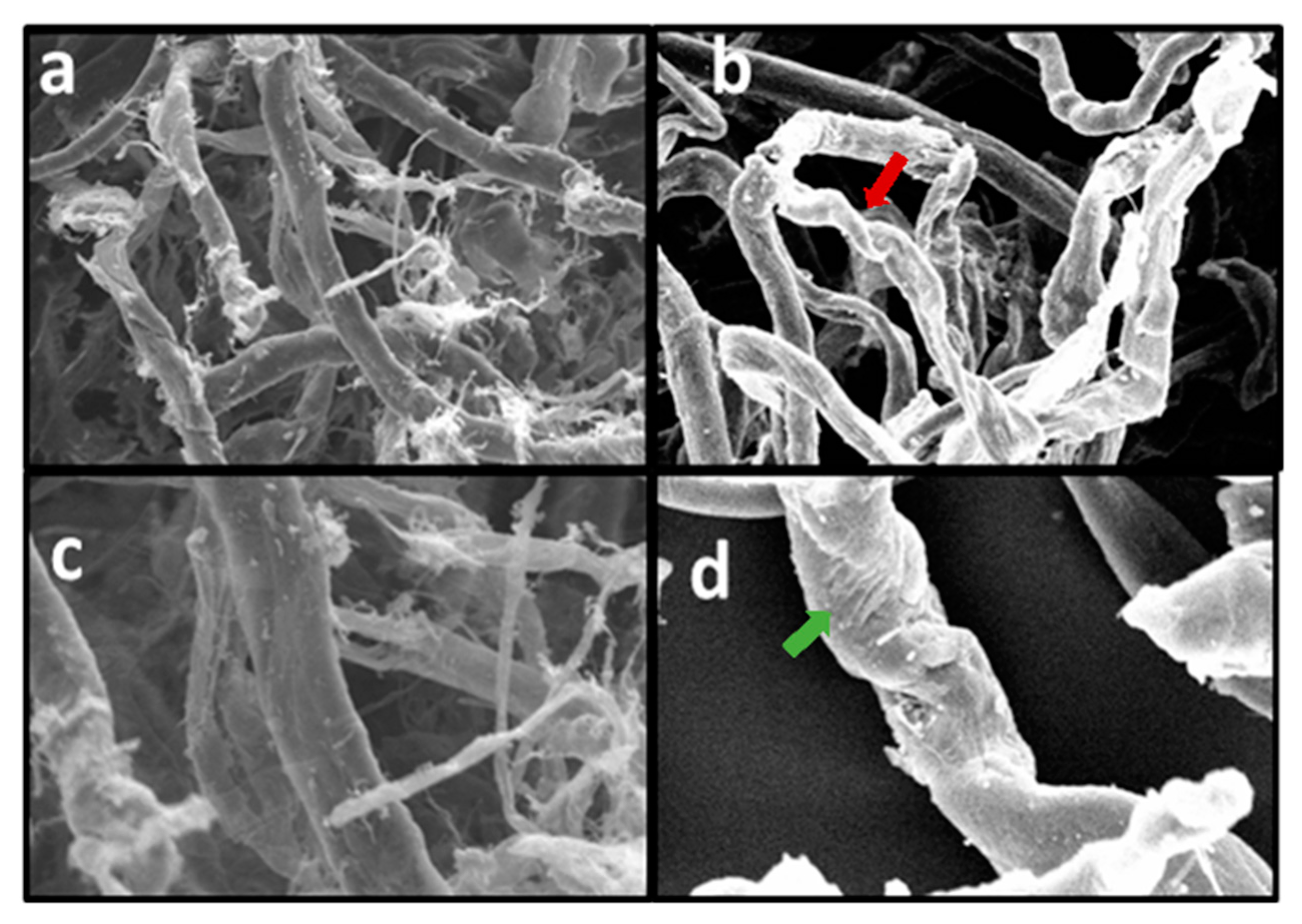 An Integrated Approach to Optimizing Cellulose Mercerization