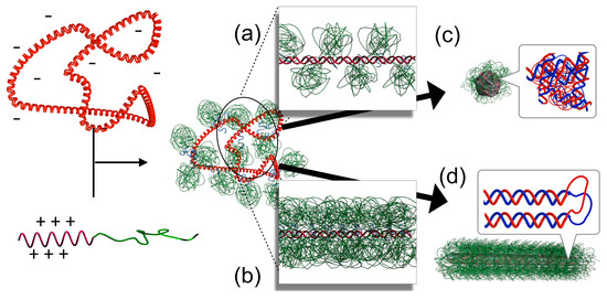 Structural Polymorphism of Single pDNA Condensates Elicited by Cationic ...