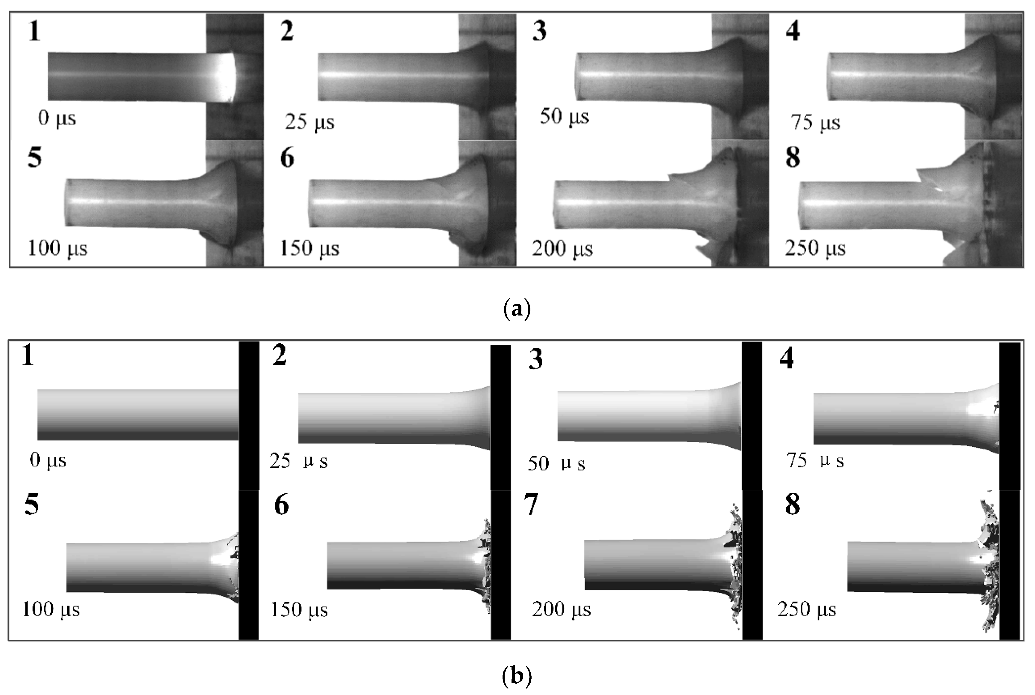Semi-Crystalline Polymers Applied to Taylor Impact Test: Constitutive ...
