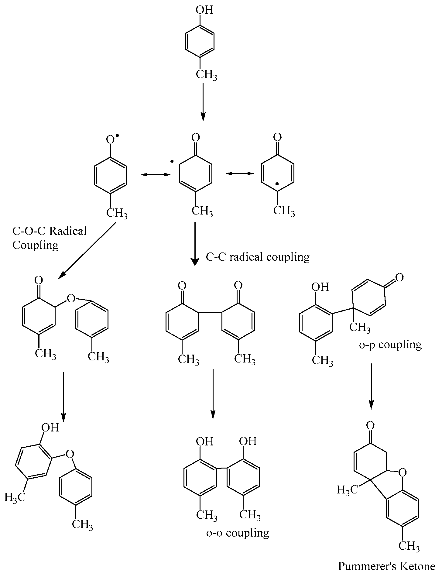 Polymers Free Full Text Antioxidant Activity Of Synthetic Polymers