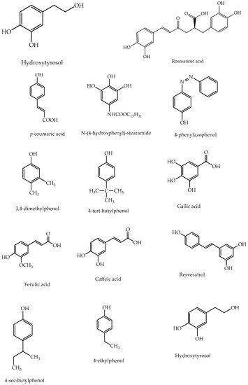 Antioxidant Activity of Synthetic Polymers of Phenolic Compounds
