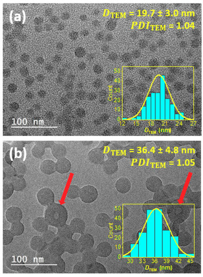 Characterizing the Core-Shell Architecture of Block Copolymer Nanoparticles with Electron ...