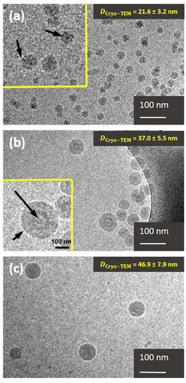 Characterizing the Core-Shell Architecture of Block Copolymer Nanoparticles with Electron ...