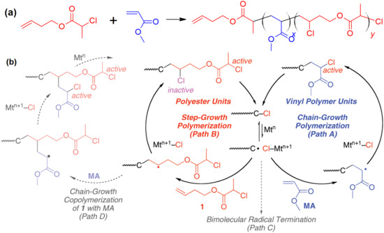 Macromolecular Engineering by Applying Concurrent Reactions with ATRP