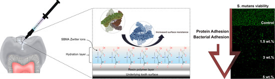 Polymers | Special Issue : Polymer-Based Materials in Dentistry