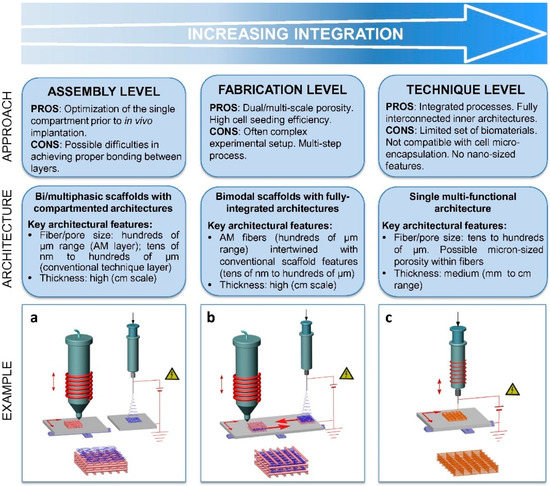 Polymers | Free Full-Text | 3D Bioprinting in Tissue Engineering for ...