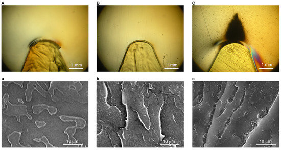 Physical and Morphological Properties of Tough and Transparent PMMA ...