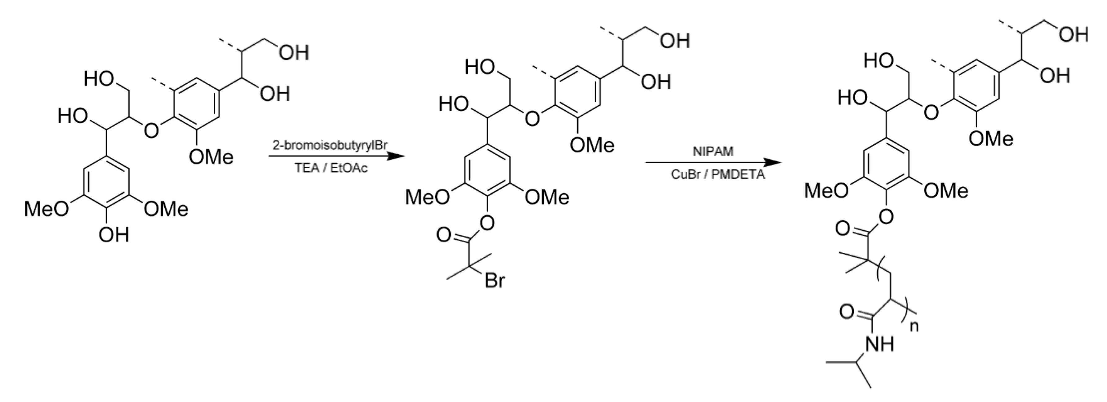 Hardwood Lignin Structure Hardwood Lignin Structure