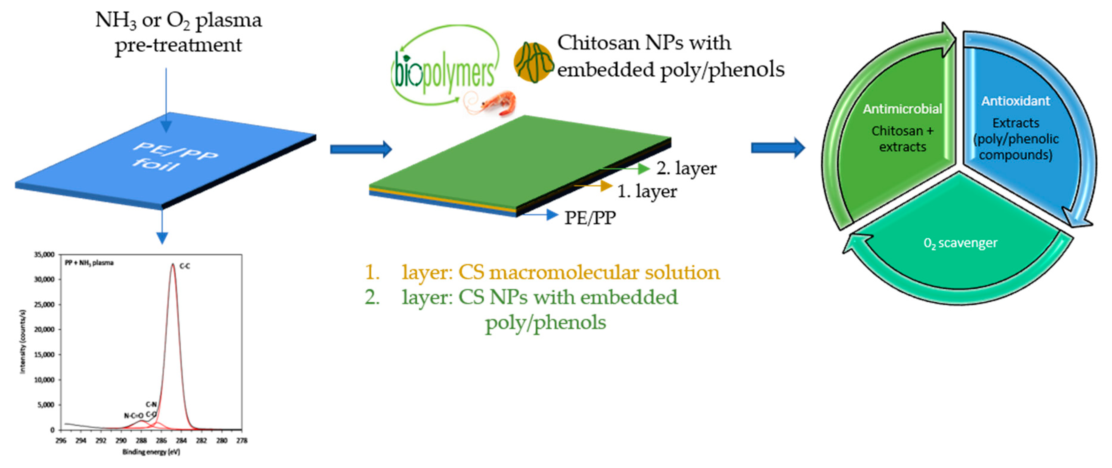 Polymers | Free Full-Text | Two-Layer Functional Coatings of Chitosan ...