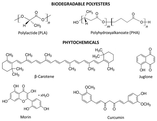 The Effect of Natural Additives on the Composting Properties of ...