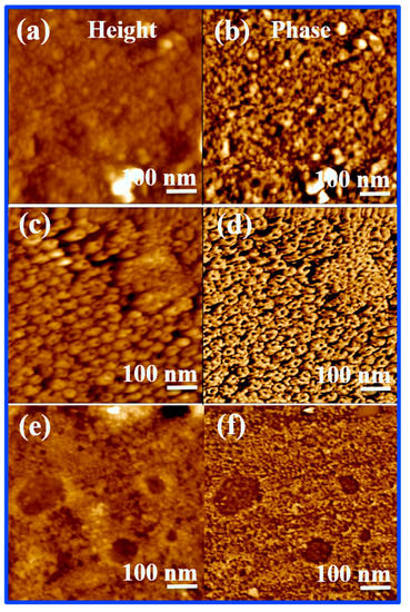 Ameliorated Performance of Sulfonated Poly(Arylene Ether Sulfone) Block ...
