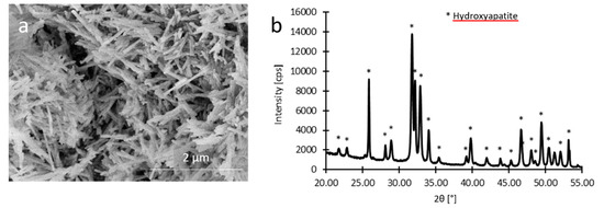 Influence of Hydroxyapatite Nanoparticles and Surface Plasma Treatment ...