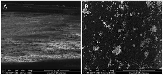 Development and Characterization of Membranes with PVA Containing ...