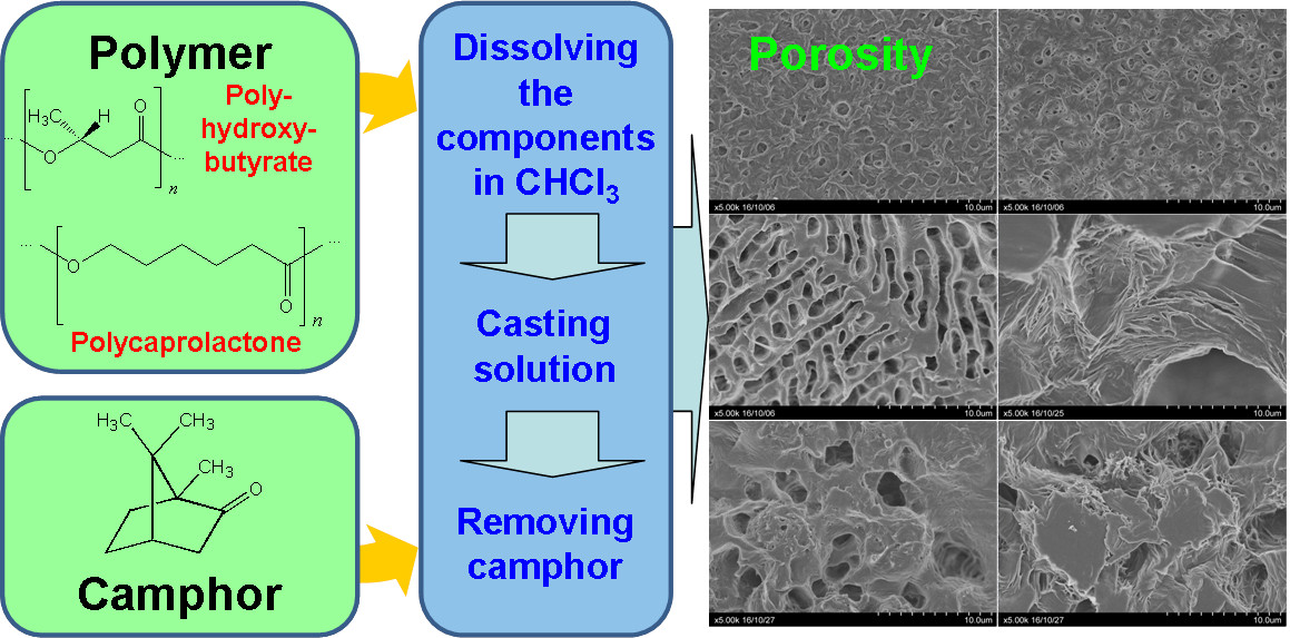Polymers | Free Full-Text | Production of Porous Films Based on Biodegradable Polyesters by the ...