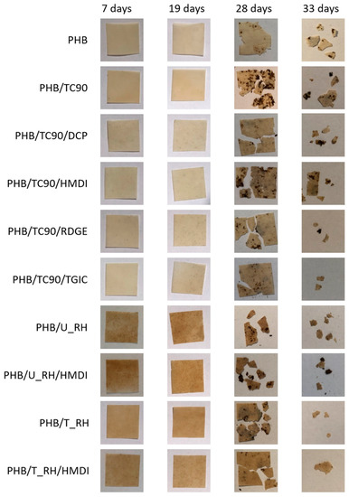 Study of the Compatibilization Effect of Different Reactive Agents in ...
