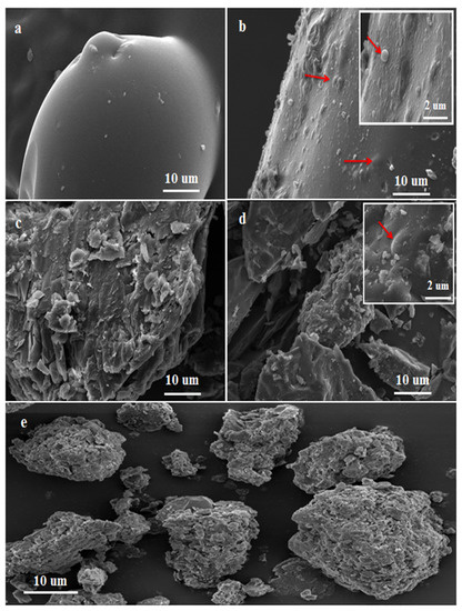 Polymers | Special Issue : Polymer Connect: Polymer Science and ...