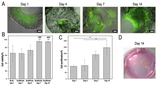 3D Printing of a Reactive Hydrogel Bio-Ink Using a Static Mixing Tool