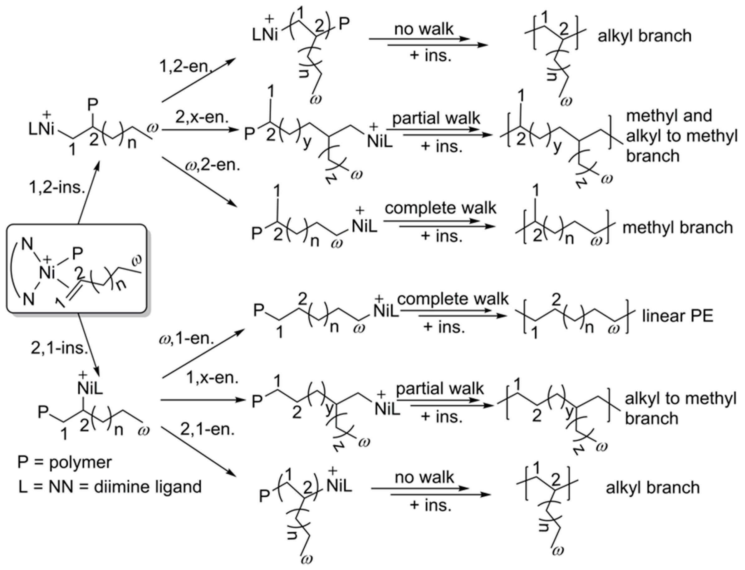 Living Chain Walking Co Polymerization Of Propylene And 1 Decene By
