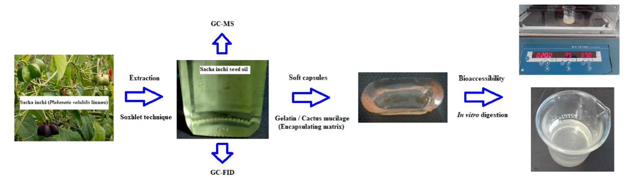 Polymers | Free Full-Text | Encapsulation Effect on the In Vitro ...