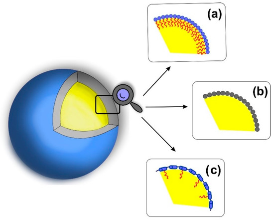 Polymer Capsules with Hydrophobic Liquid Cores as Functional Nanocarriers