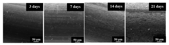 Microstructural Changes during Degradation of Biobased Poly(4 ...