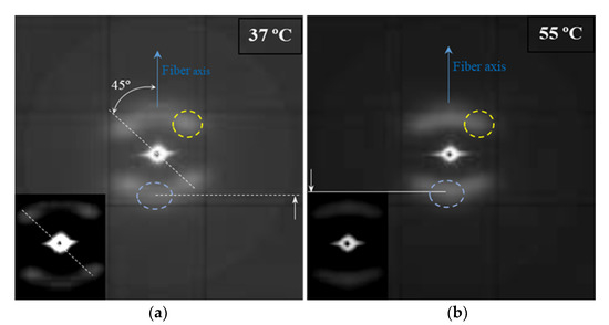 Microstructural Changes during Degradation of Biobased Poly(4 ...