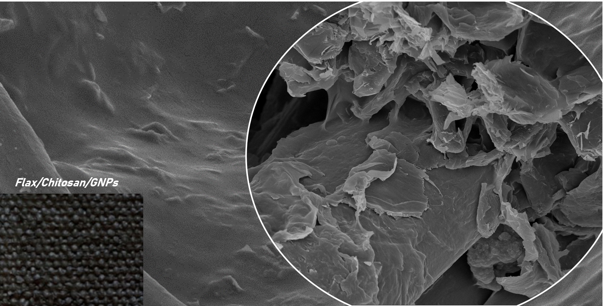 Polymers | Free Full-Text | The Potential of Graphene Nanoplatelets in ...