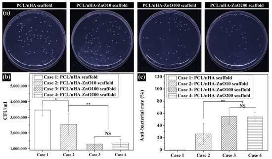 Polymers | Free Full-Text | Evaluation of the Antibacterial Activity and Cell Response for 3D ...
