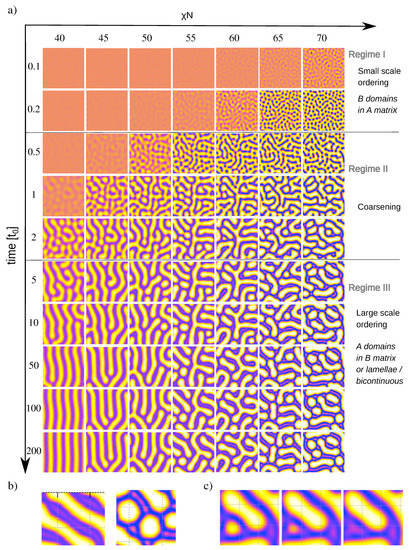 Polymers | Free Full-Text | Dynamic Self-Consistent Field Approach for Studying Kinetic ...