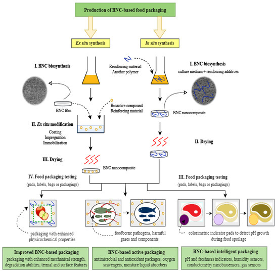 Bacterial Nanocellulose—A Biobased Polymer for Active and Intelligent ...
