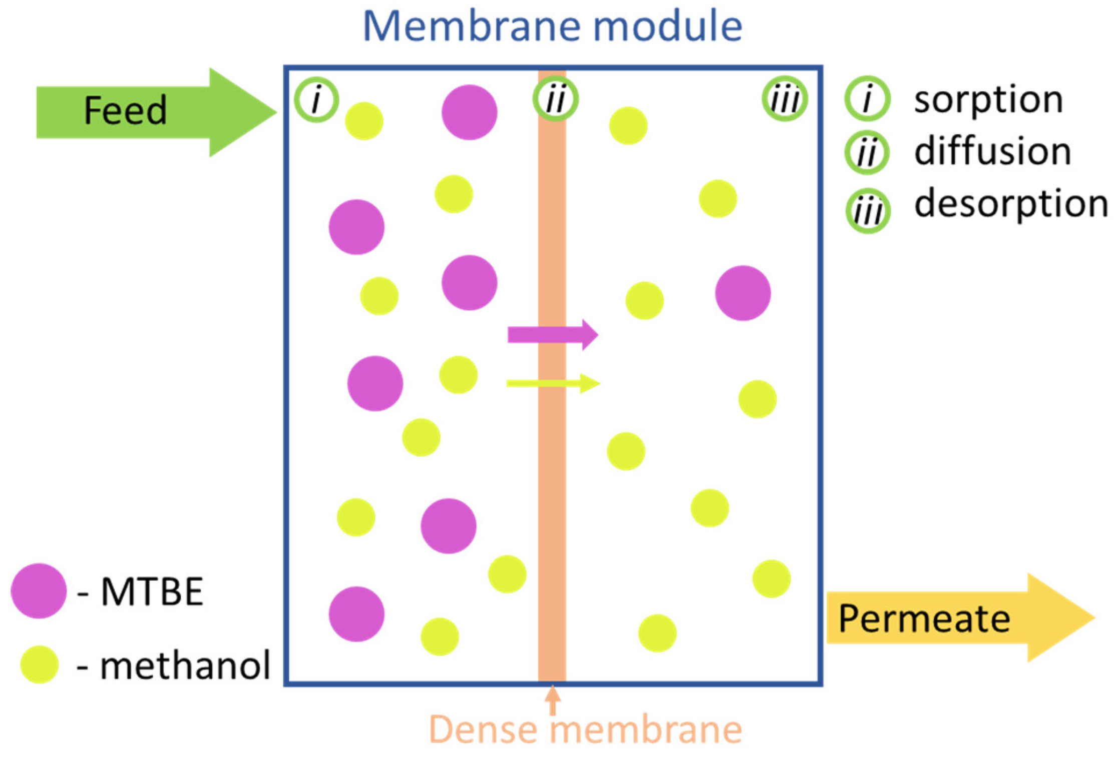 Application of Polymer Membranes for a Purification of Fuel Oxygenated ...