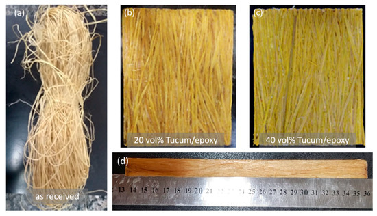Tucum Fiber from Amazon Astrocaryum vulgare Palm Tree: Novel ...