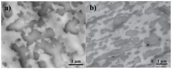 TPV: A New Insight on the Rubber Morphology and Mechanic/Elastic Properties