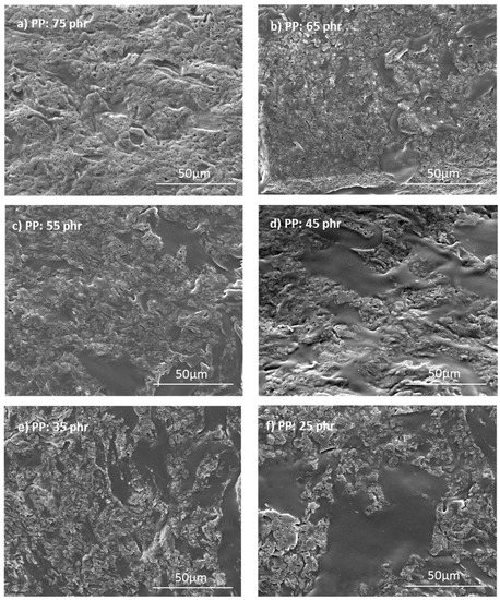 TPV: A New Insight on the Rubber Morphology and Mechanic/Elastic Properties