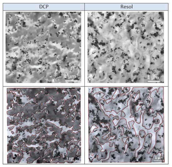 TPV: A New Insight on the Rubber Morphology and Mechanic/Elastic Properties