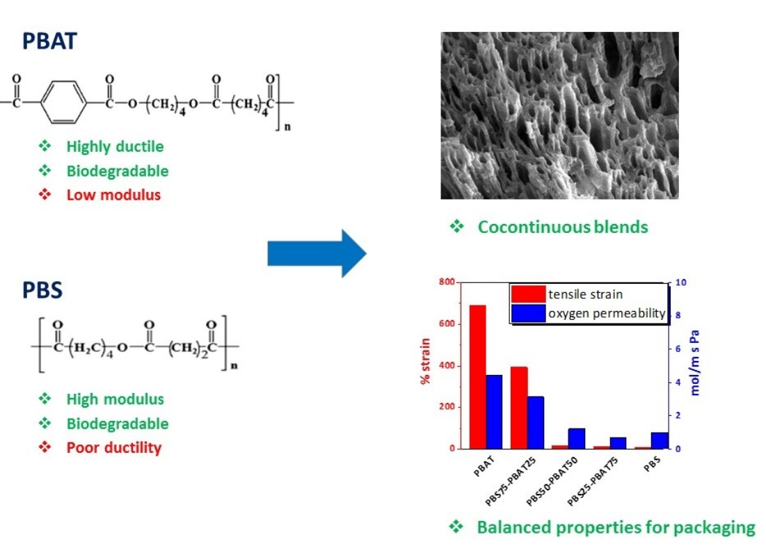 Polymers | Free Full-Text | Properties of Biodegradable Films Based on ...