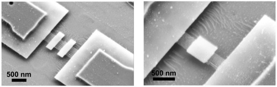 Directed Self-Assembly of Block Copolymers for the Fabrication of ...