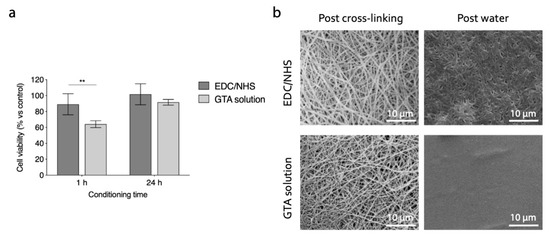 Cross-Linking Optimization for Electrospun Gelatin: Challenge of Preserving Fiber Topography