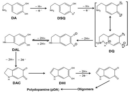 Morphological Changes in Astrocytes by Self-Oxidation of Dopamine to ...