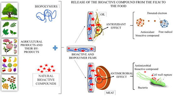 Methods of Incorporating Plant-Derived Bioactive Compounds into Films Made with Agro-Based ...