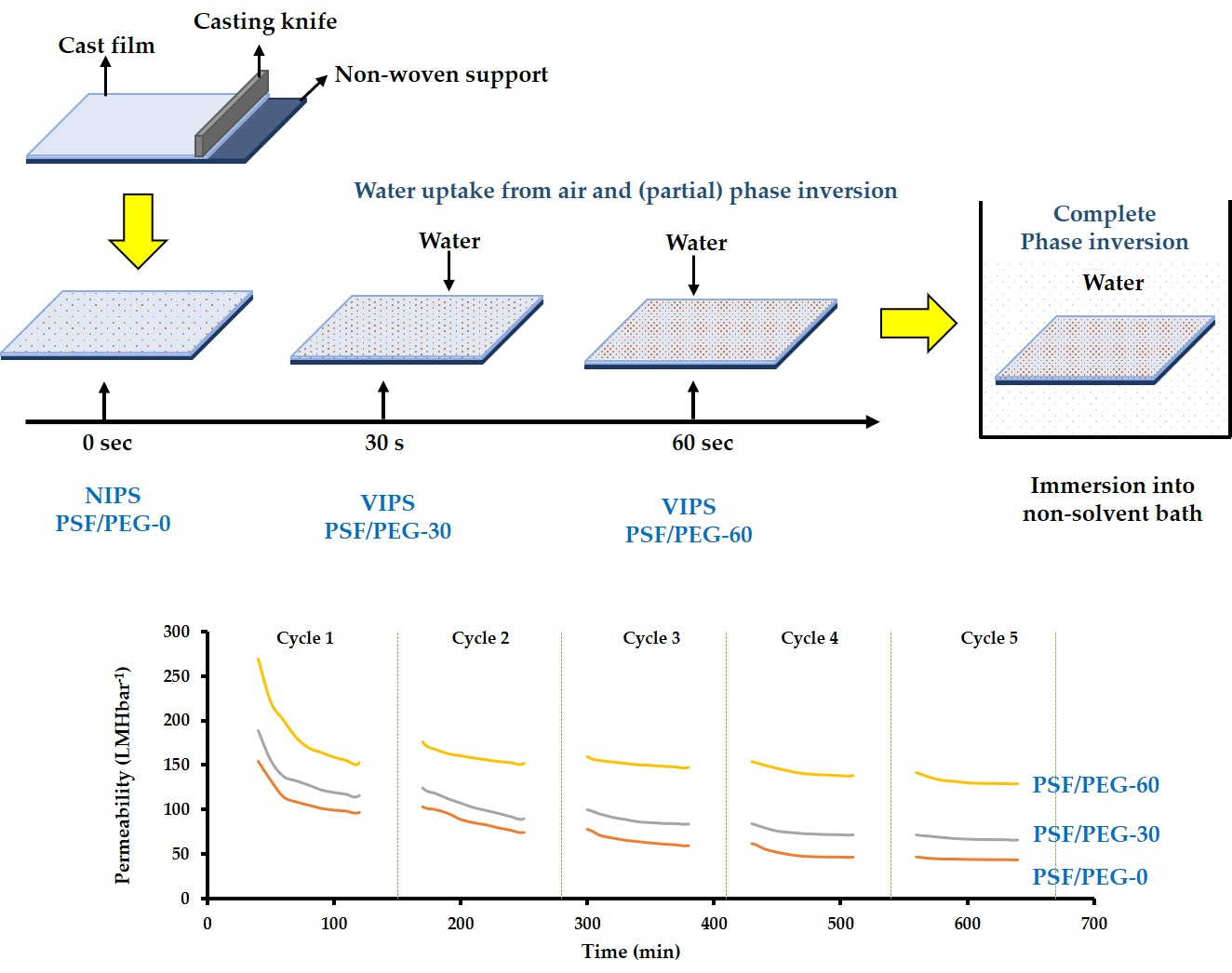 Polymers | Free Full-Text | Development of Polysulfone Membrane via ...