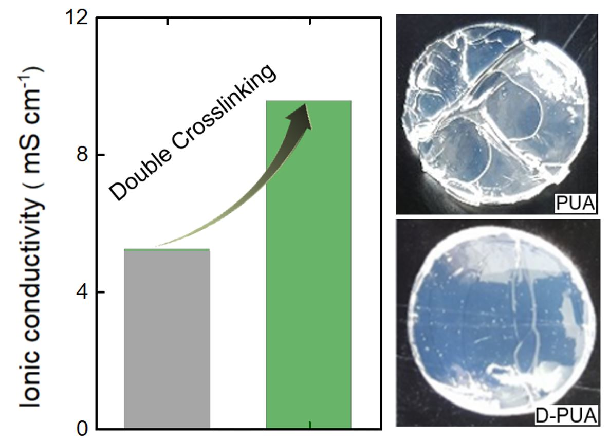 Polymers | Free Full-Text | Double-Crosslinked Polyurethane Acrylate ...
