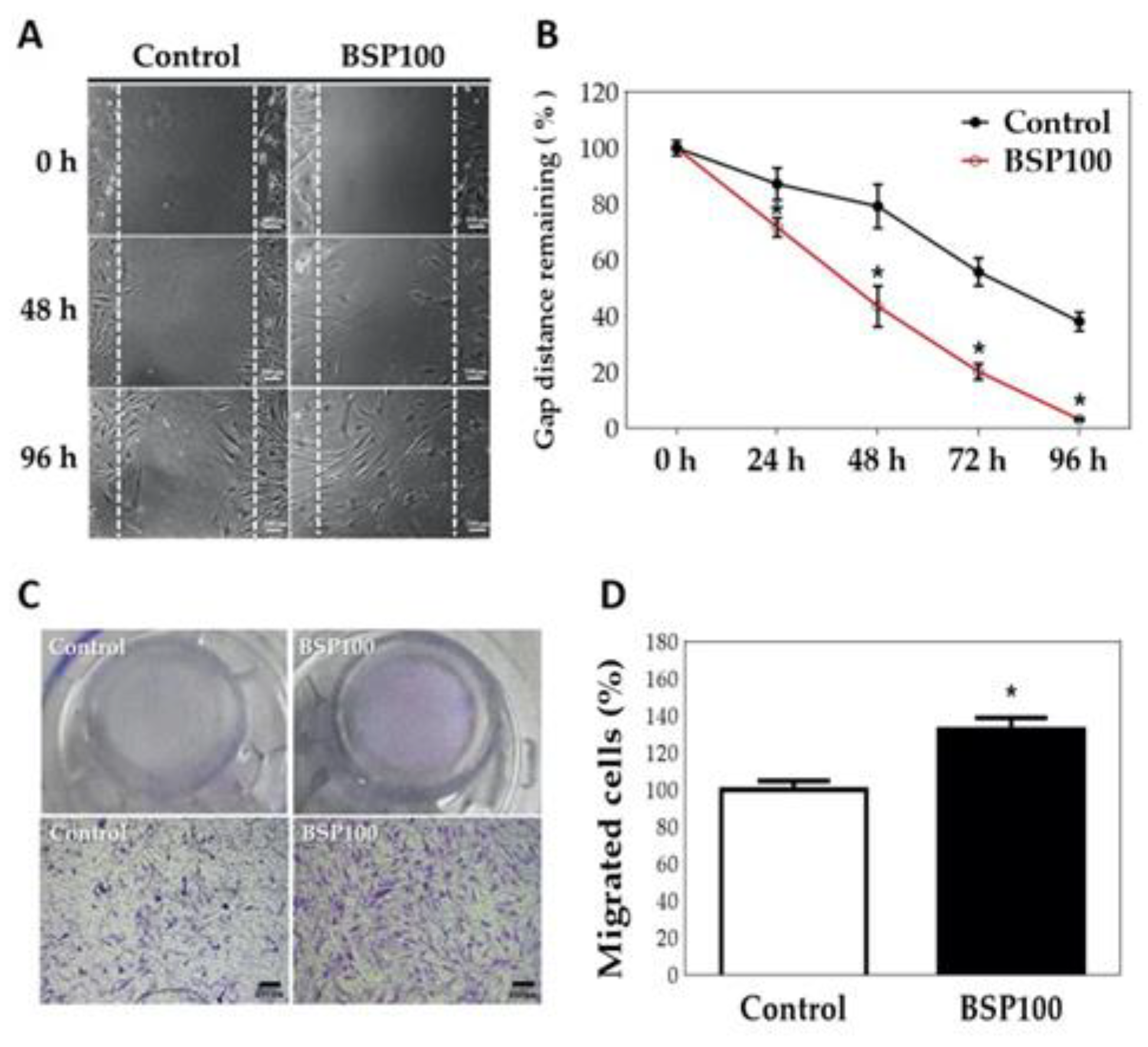 Polysaccharide Extracted from Bletilla striata Promotes Proliferation ...
