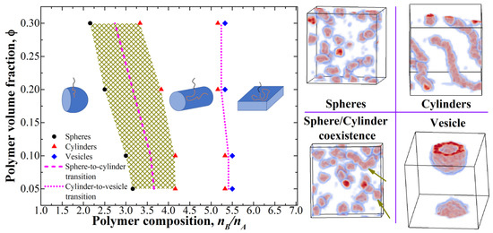 Polymers | Special Issue : Phase Transitions in Polymers and Polymer ...